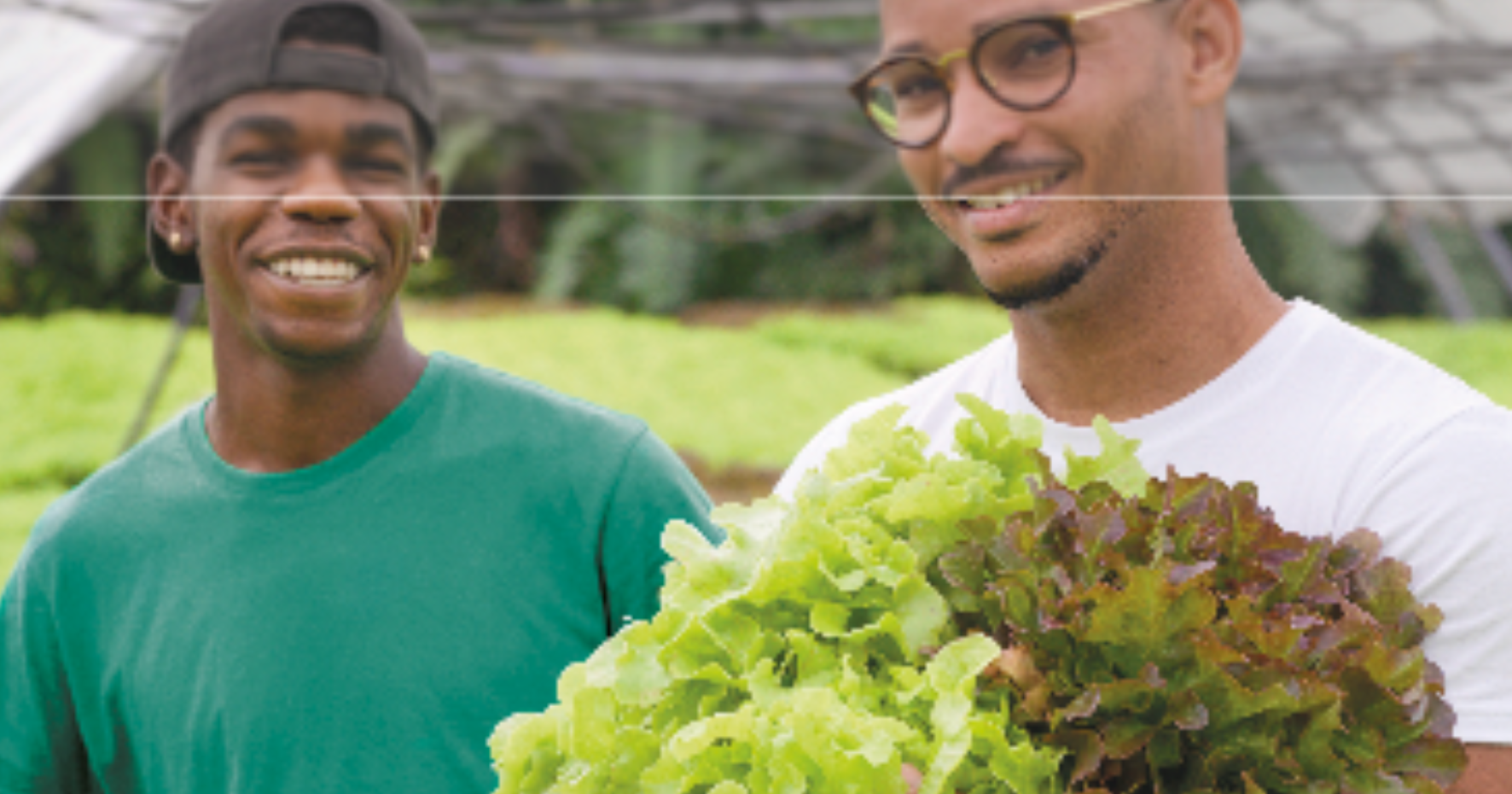 Brevet Professionnel Responsable d'Entreprise Agricole - Support ...